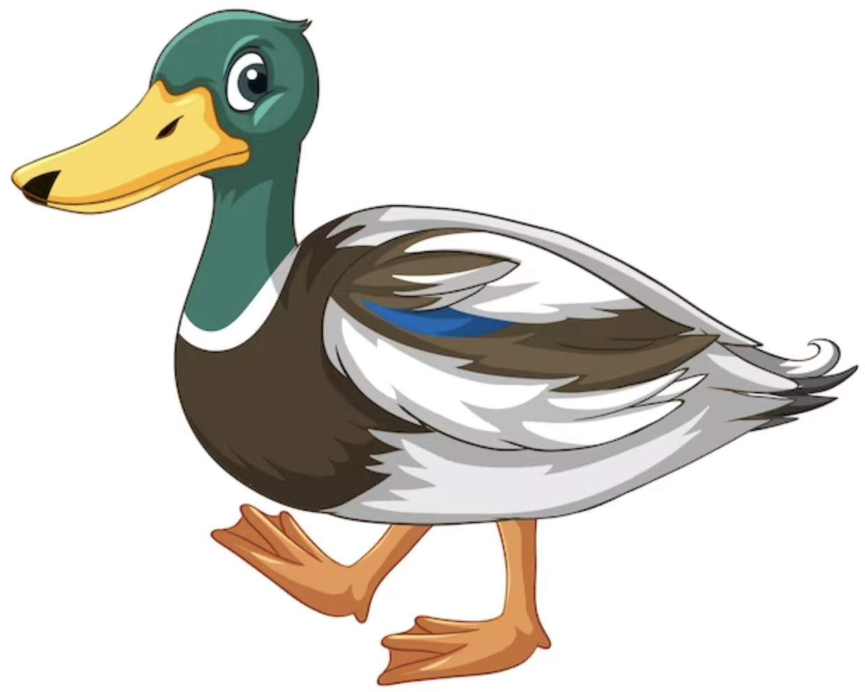 Feeling Fowl? Stunning Advice From A Talking Duck - Operation Melt